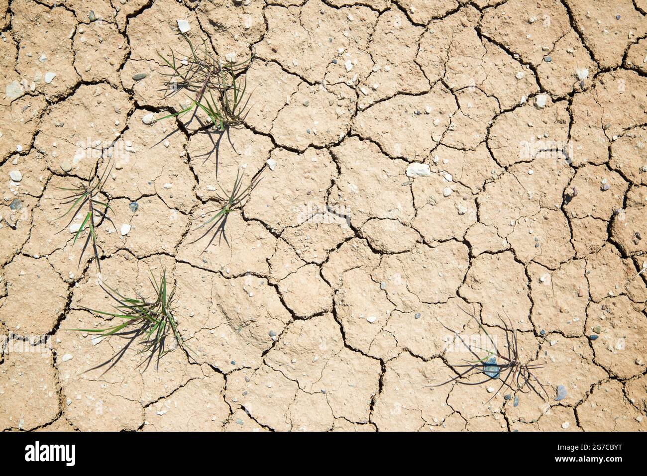 Background in high resolution created with drought land Stock Photo - Alamy