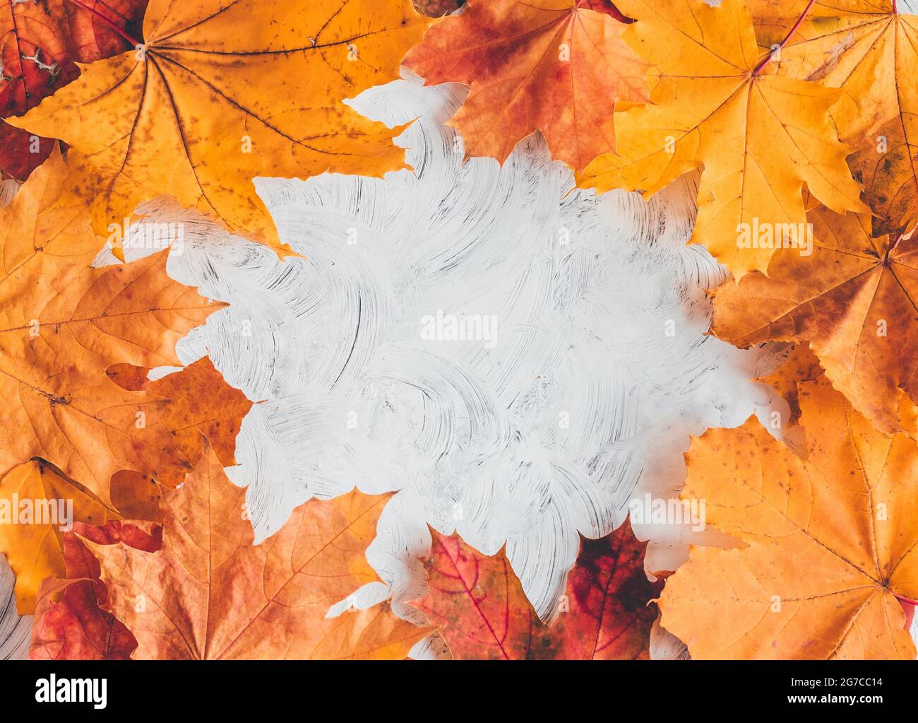 Autumn background with maple leaf Stock Photo - Alamy