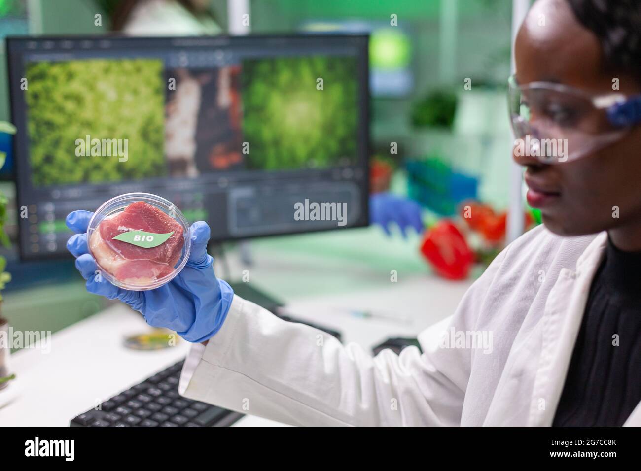 Biologist researcher looking at plant based beef substitute for ...