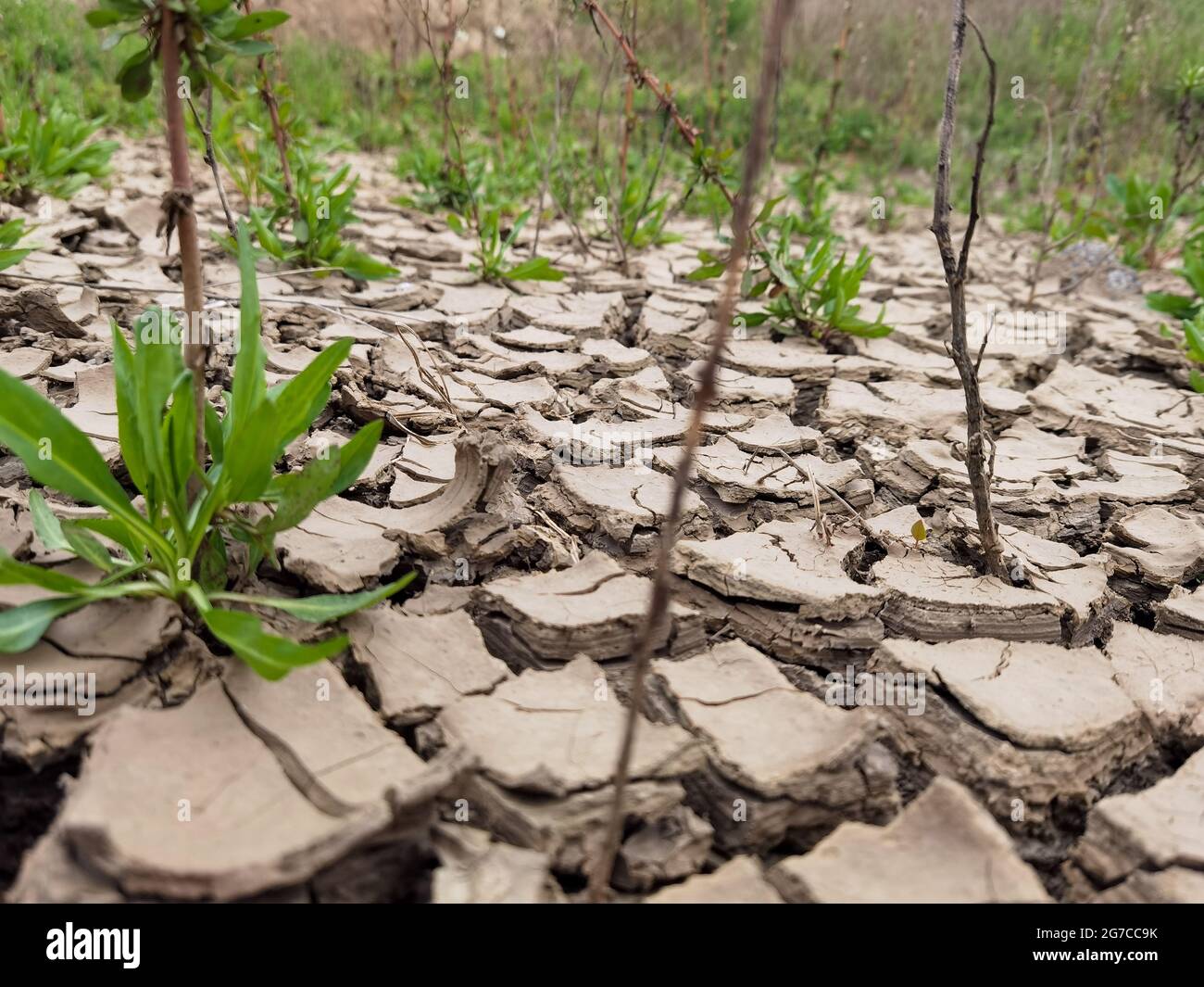 Effects of aridity on a land composed mainly of earth. You can see the ...