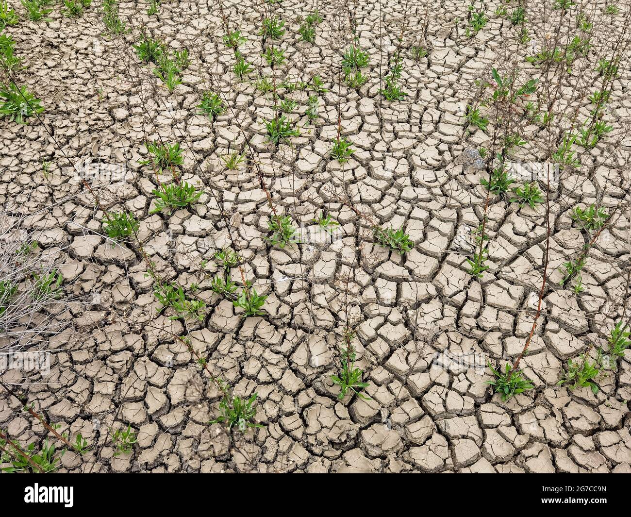 Soil erosion damage hi-res stock photography and images - Alamy