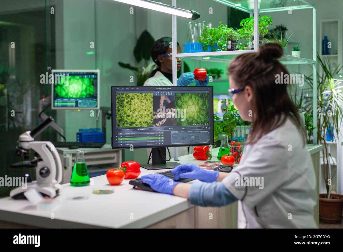 Scientist woman researcher typing biochemistry expertise on computer ...