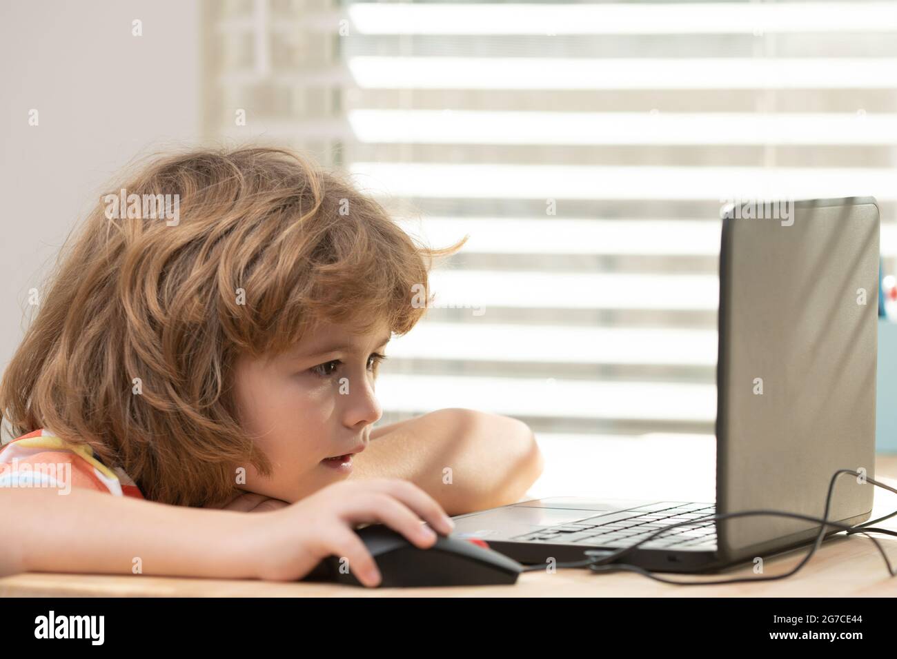 Smart little caucasian boy child sit at table study at laptop notebook ...