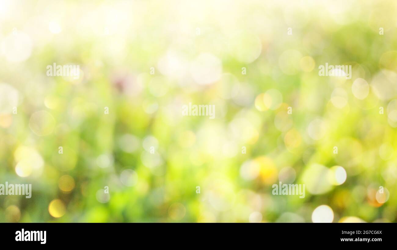Green blured abstract background hi-res stock photography and images ...