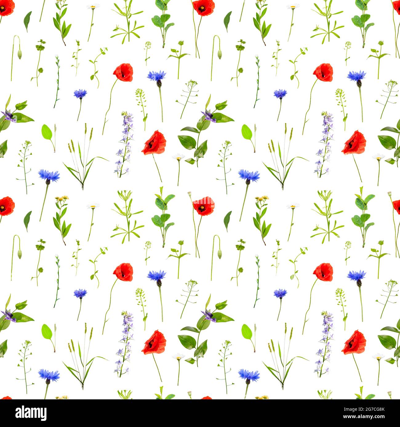 Wildflowers seamless pattern. Nature background Stock Photo - Alamy