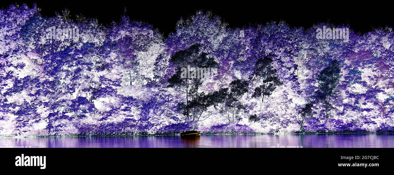 Negative color hi-res stock photography and images - Alamy