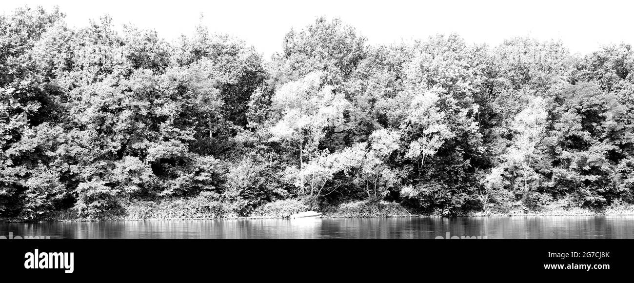 Grayscale Photography With Color