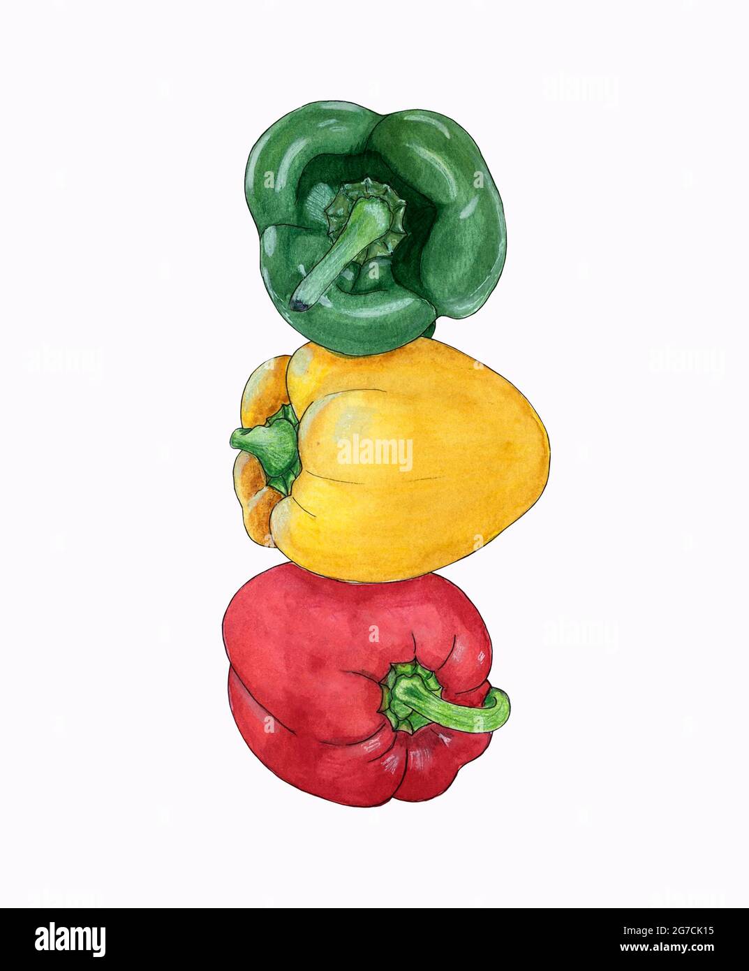 Green Capsicum Painting