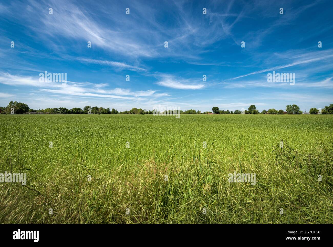 Po plain hi-res stock photography and images - Alamy
