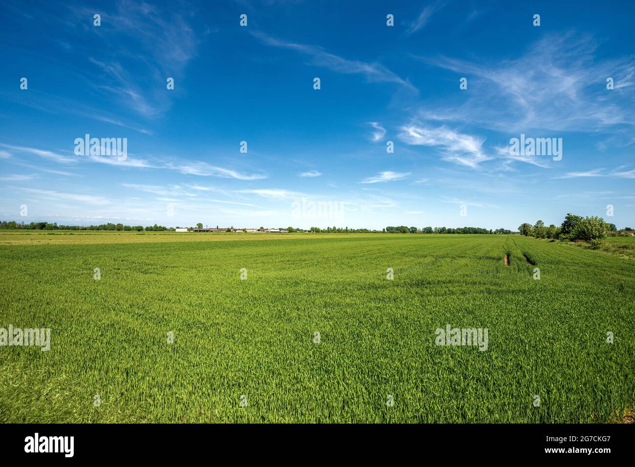 Padan plain. italy hi-res stock photography and images - Alamy