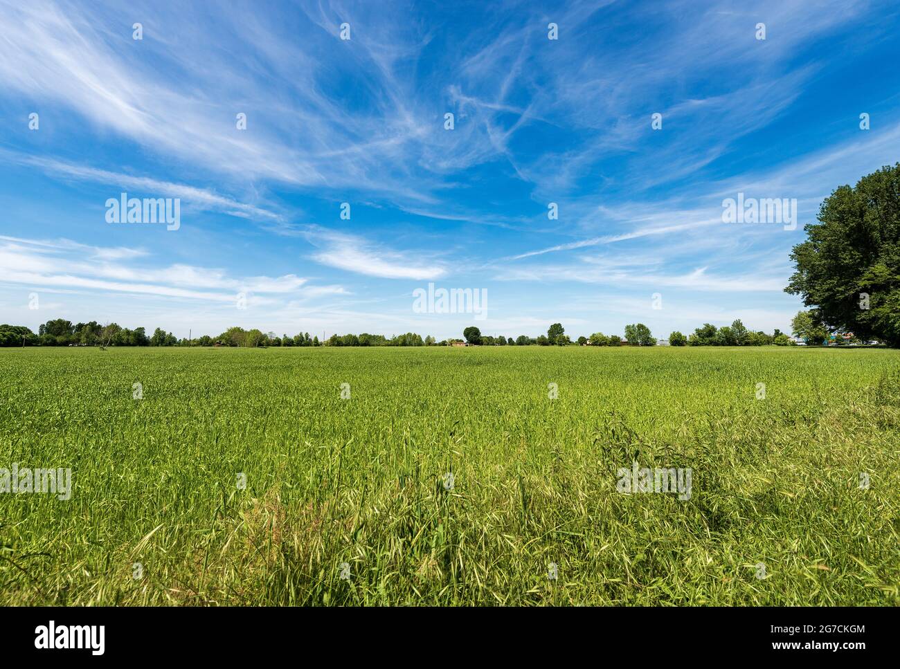 Padan plain. italy hi-res stock photography and images - Alamy
