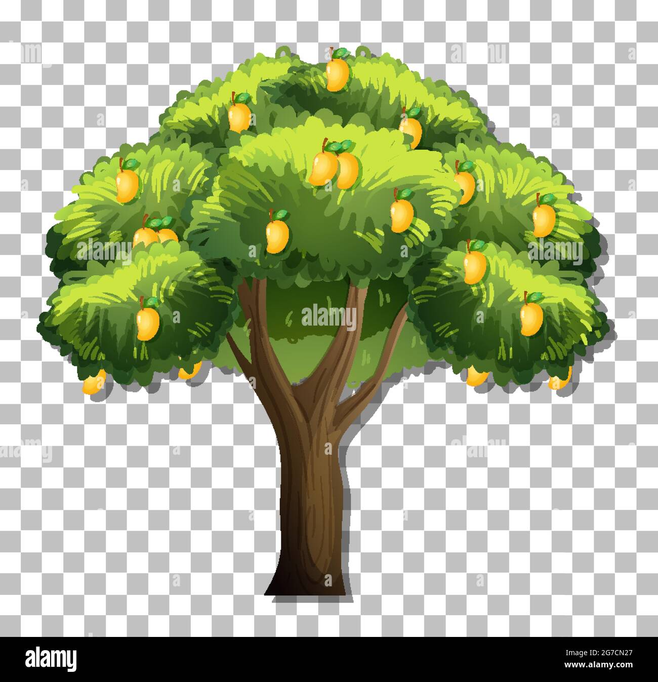 Mango Tree Vector Png