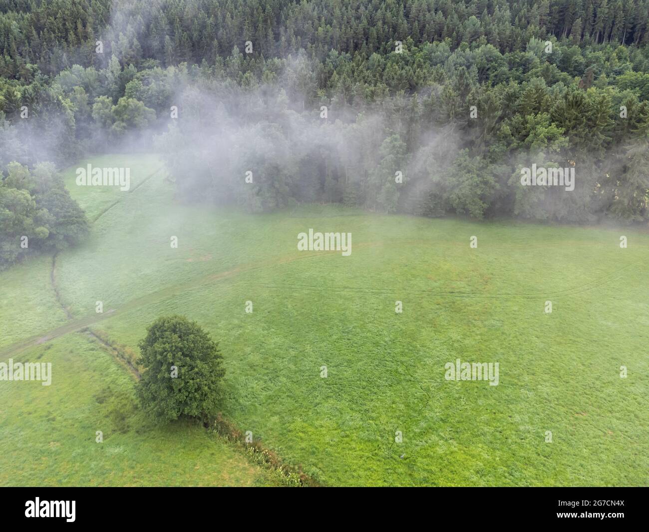 Aerial view of a clearing in the forest with clouds Stock Photo - Alamy