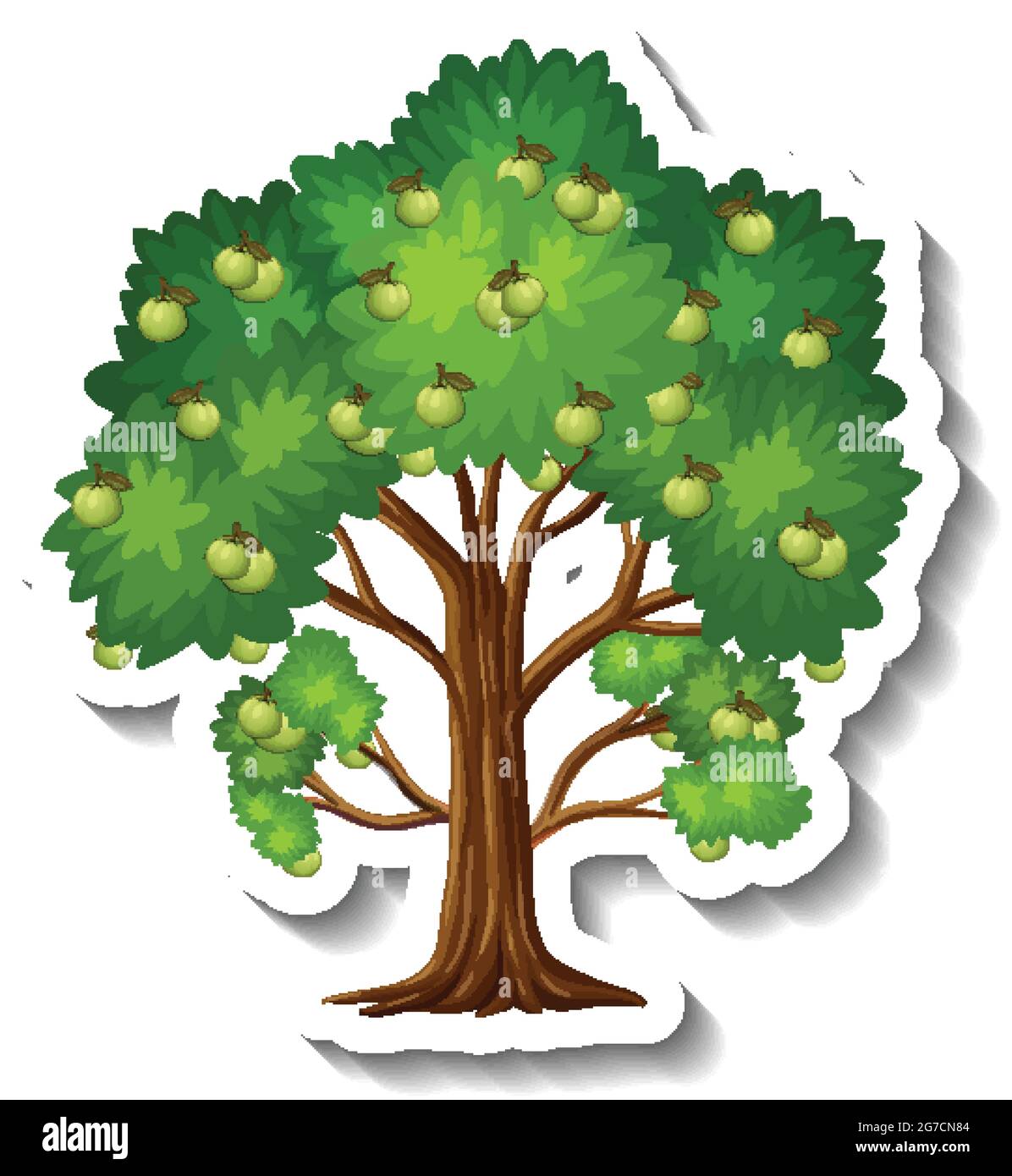 Guava tree sticker on white background illustration Stock Vector Image ...