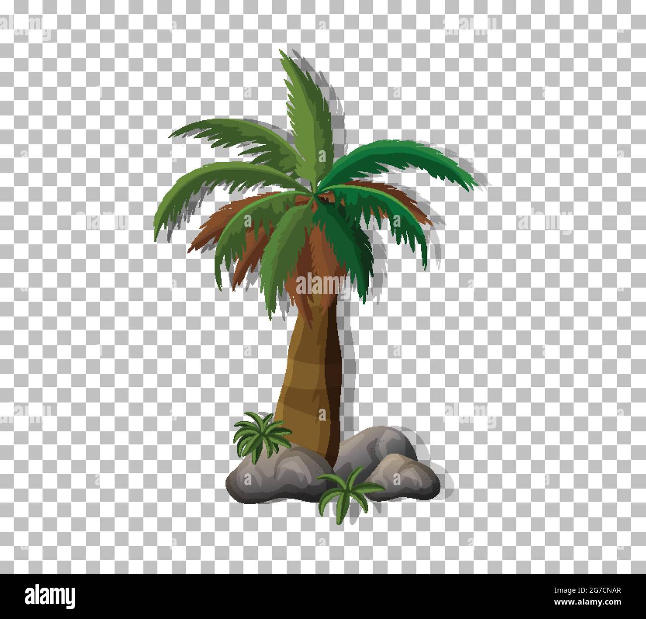 Palm tree on transparent background illustration Stock Vector Image ...