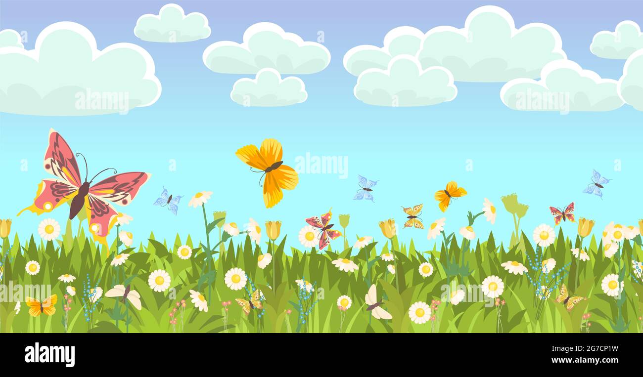 Meadow with wildflowers and butterflies. Seamless illustration. Grass ...