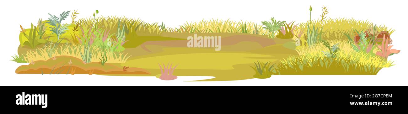 Dense autumn meadow. Area. Herbal yellowing thickets. Grass area ...