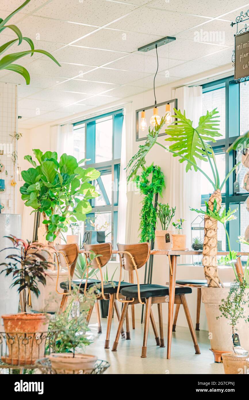 Cafe care hi-res stock photography and images - Alamy