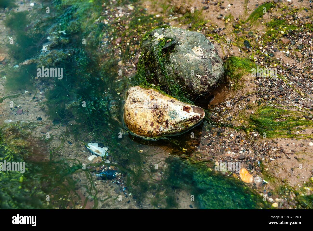 Exmouth beach east devon uk hi-res stock photography and images - Alamy