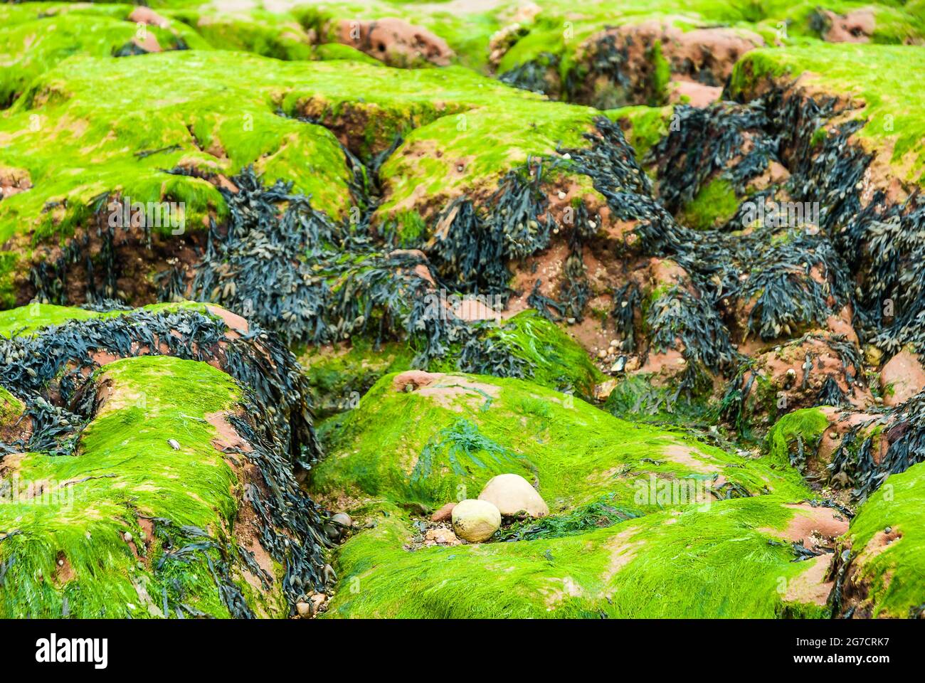 Exmouth beach east devon uk hi-res stock photography and images - Alamy