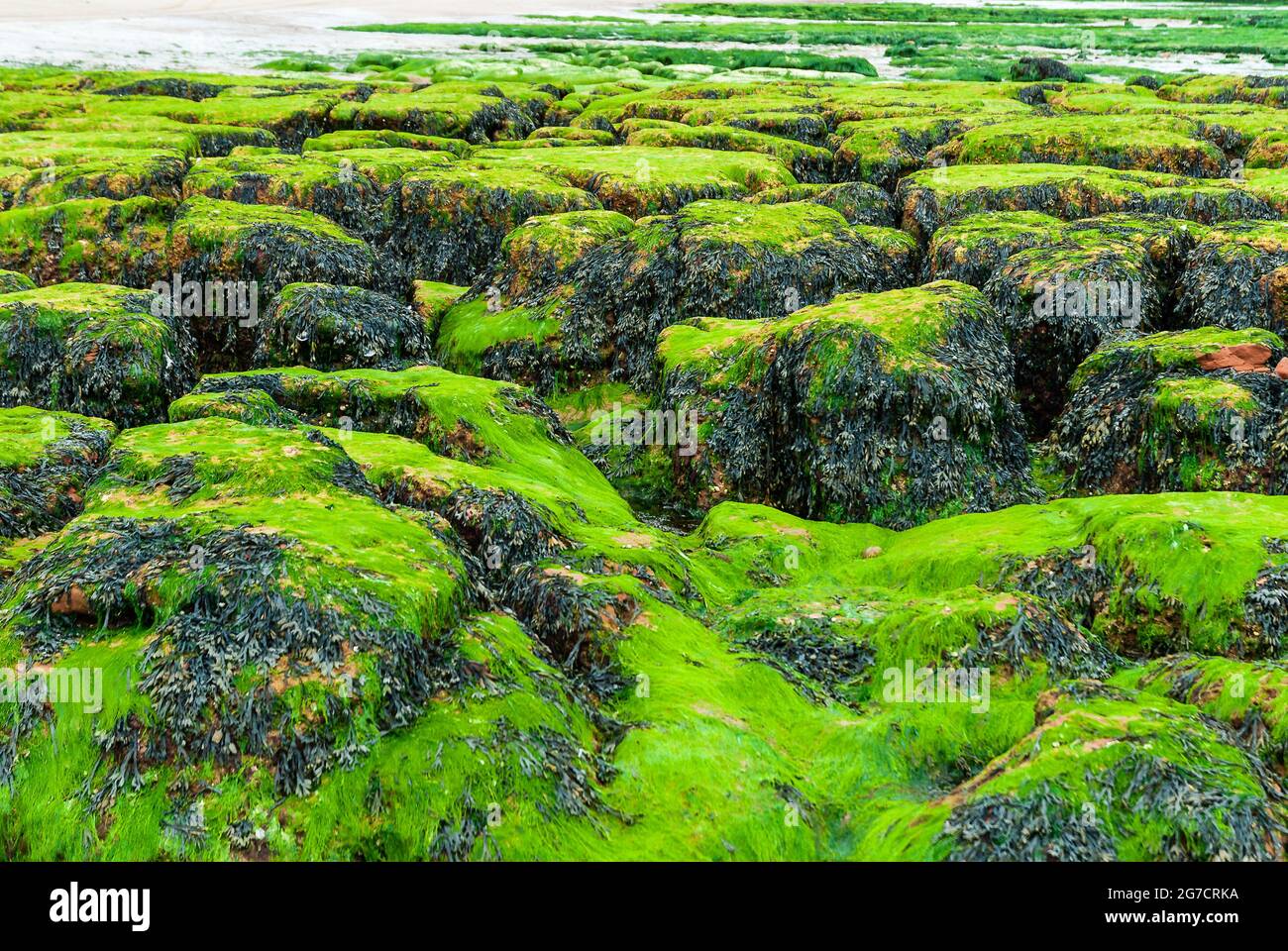 Exmouth beach east devon uk hi-res stock photography and images - Alamy