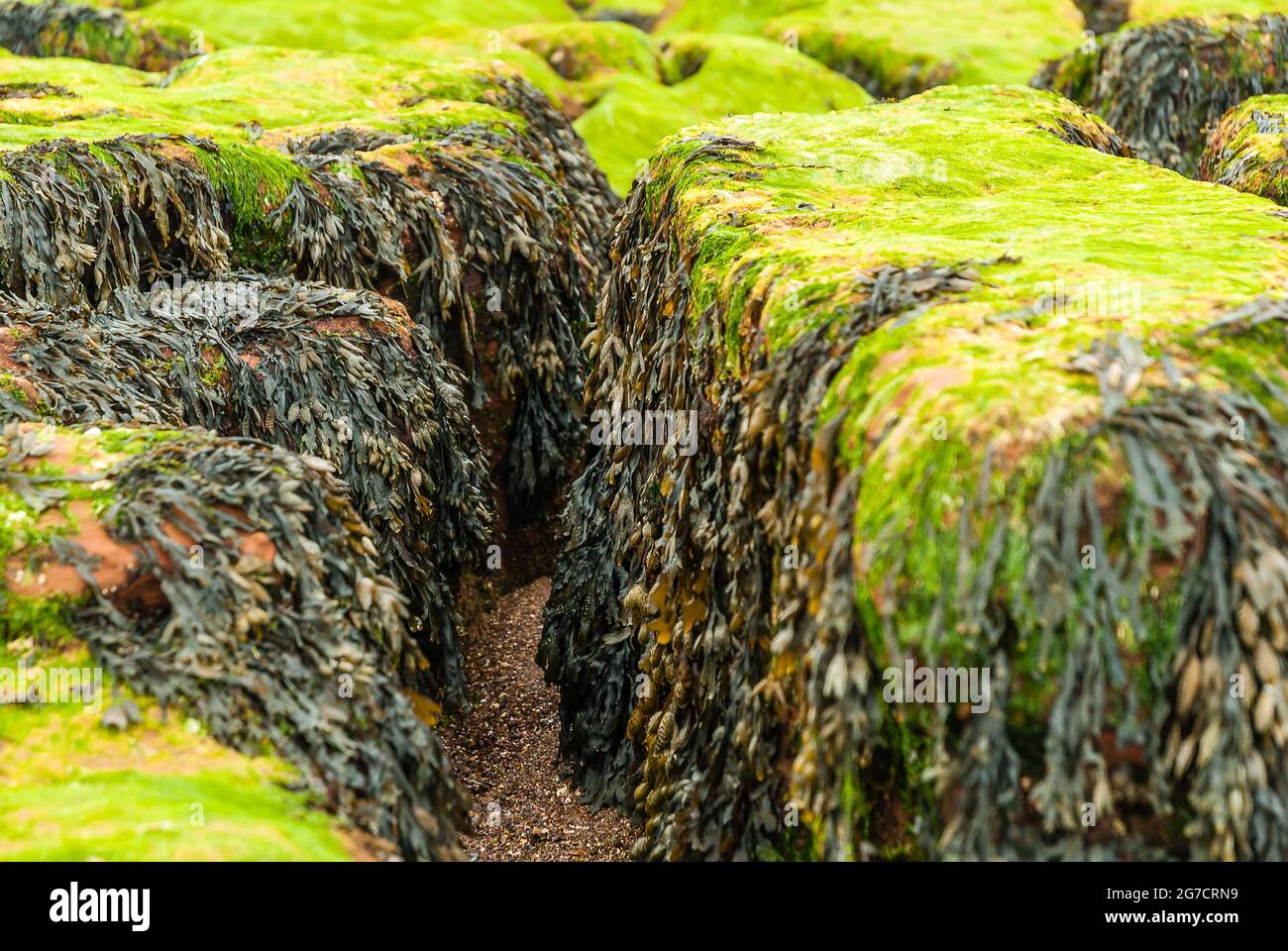 Exmouth beach east devon uk hi-res stock photography and images - Alamy