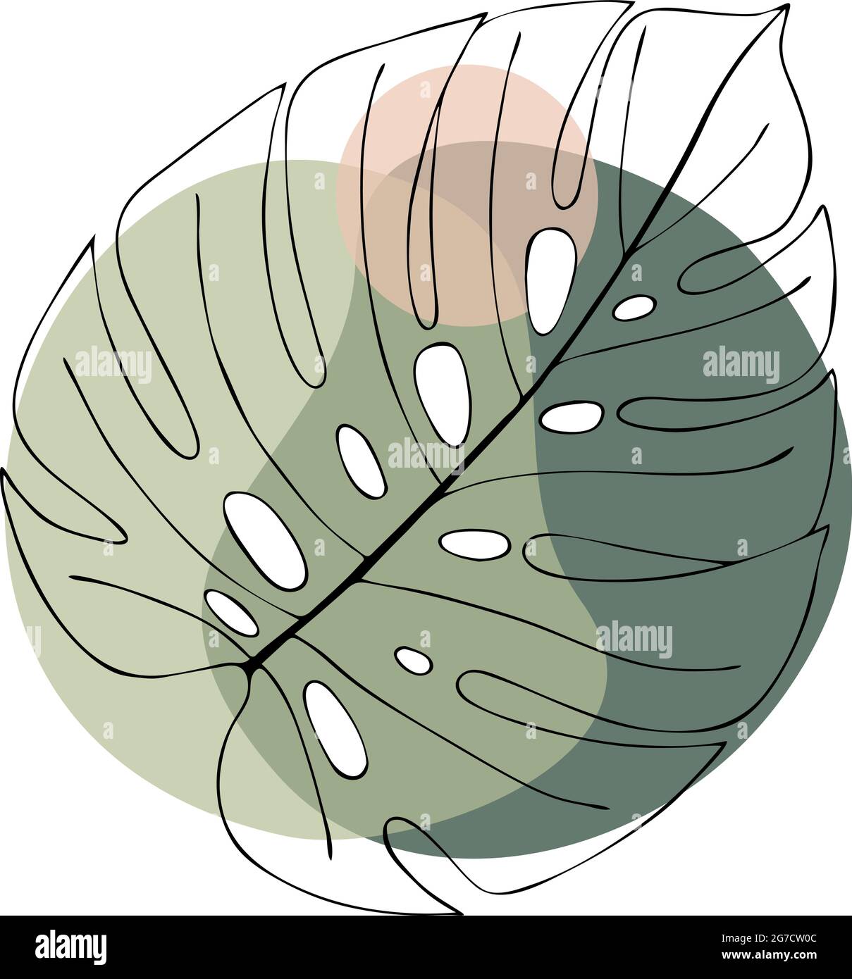 Monstera leaf in black outline with abstract green beige spots, hand ...