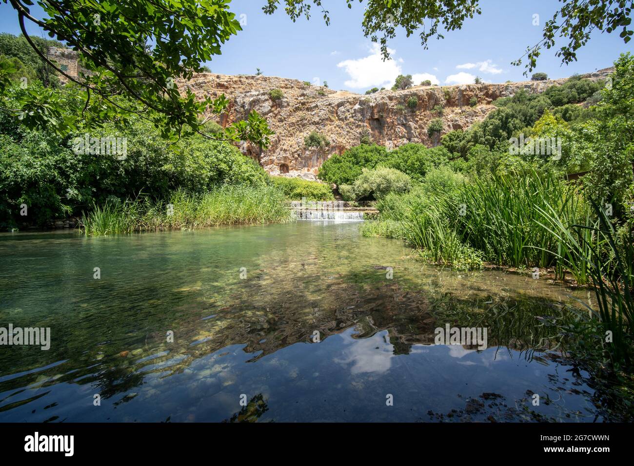 Banias nature reserve israel hi-res stock photography and images - Alamy