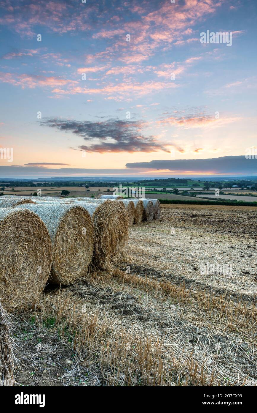 Vale of pickering summer hi-res stock photography and images - Alamy