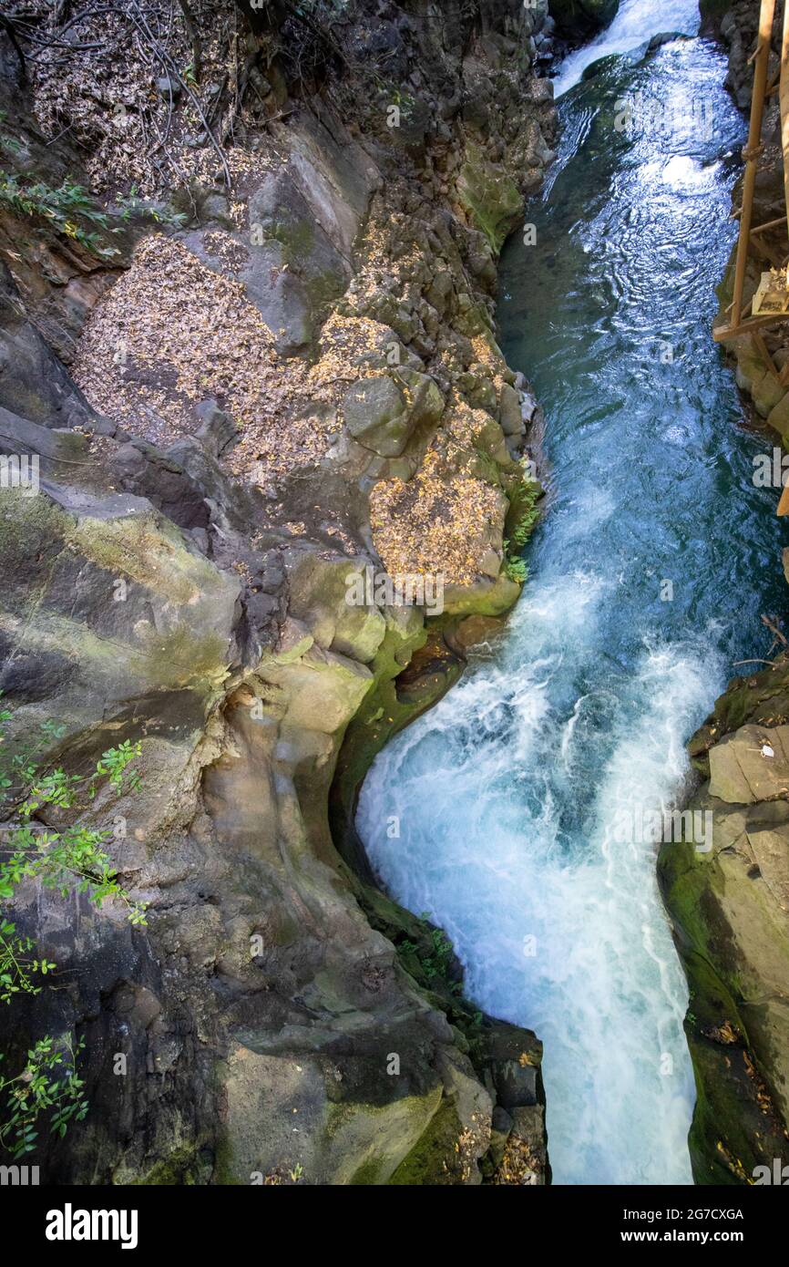 Banias Spring and Stream (Banias River or Hermon River) Golan Heights ...