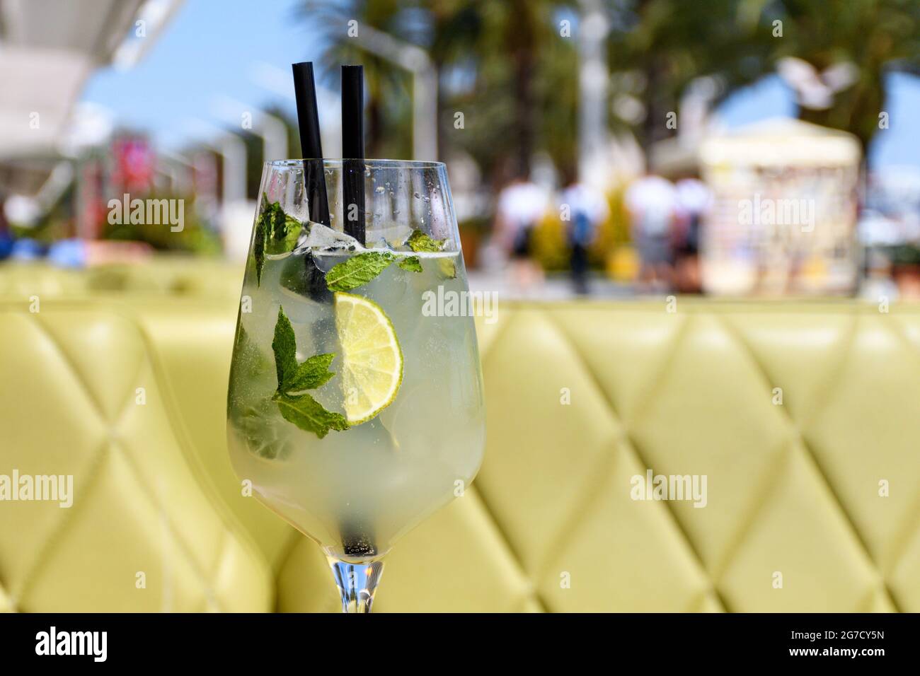 Close-up image of refreshing hugo cocktail in tall glass Stock Photo ...