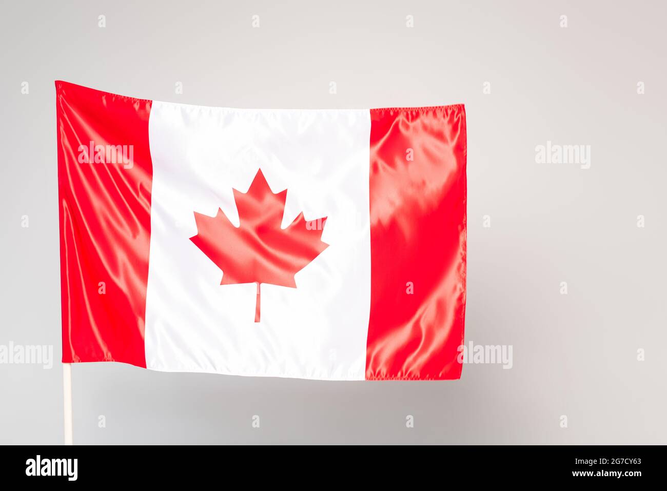 white canadian flag with red maple leaf isolated on grey Stock Photo ...