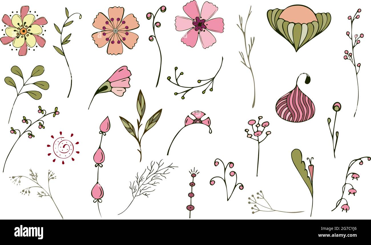 Doodling style leaves, flowers and twigs set, handmade exclusive ...