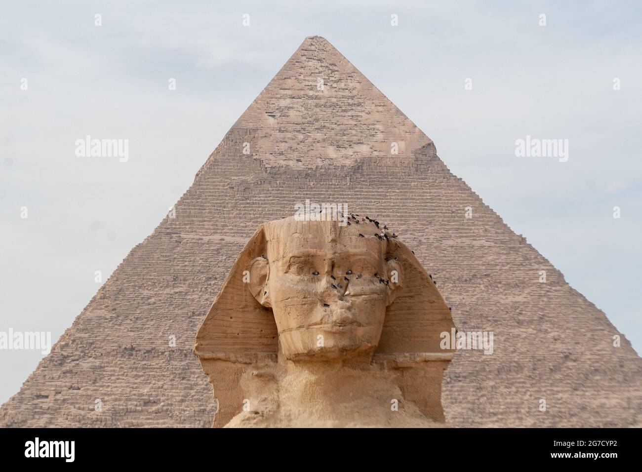 sphynx and Giza pyramids El Cairo Egypt Stock Photo - Alamy