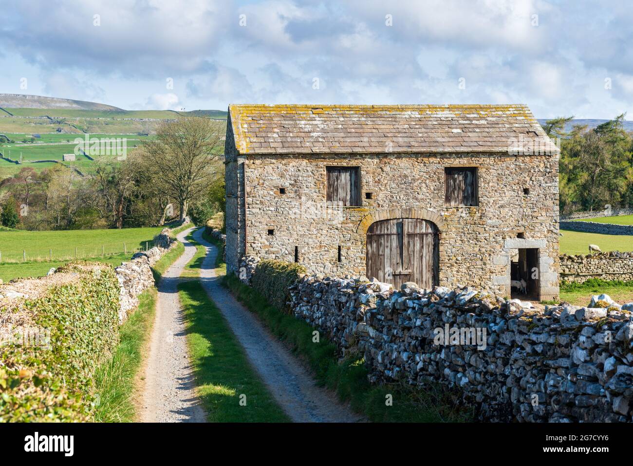 A stone field barn next to a track near Askrigg in Wensleydale, North ...