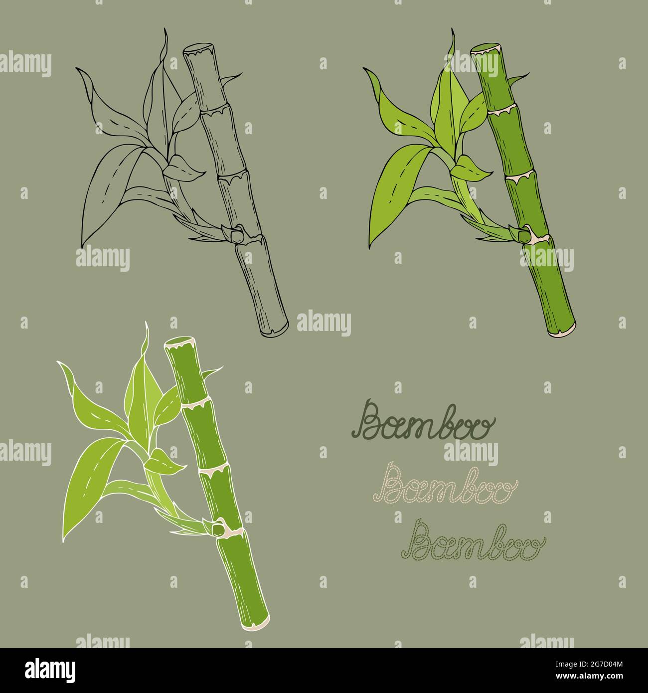 Bamboo Stick Drawing