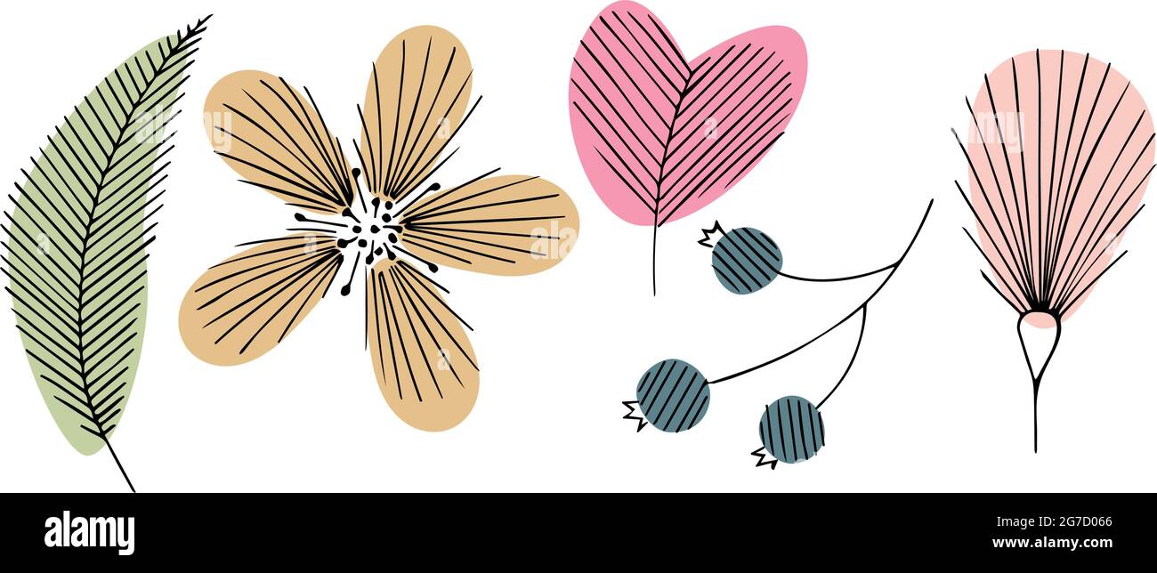 Set of botanical doodling style, hand drawing, with color spots ...