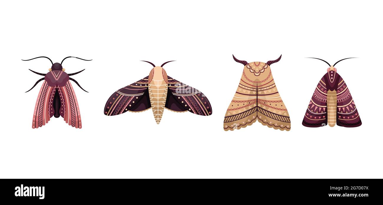 Vector set of flat moths in boho style. Flat illustration Stock Vector ...