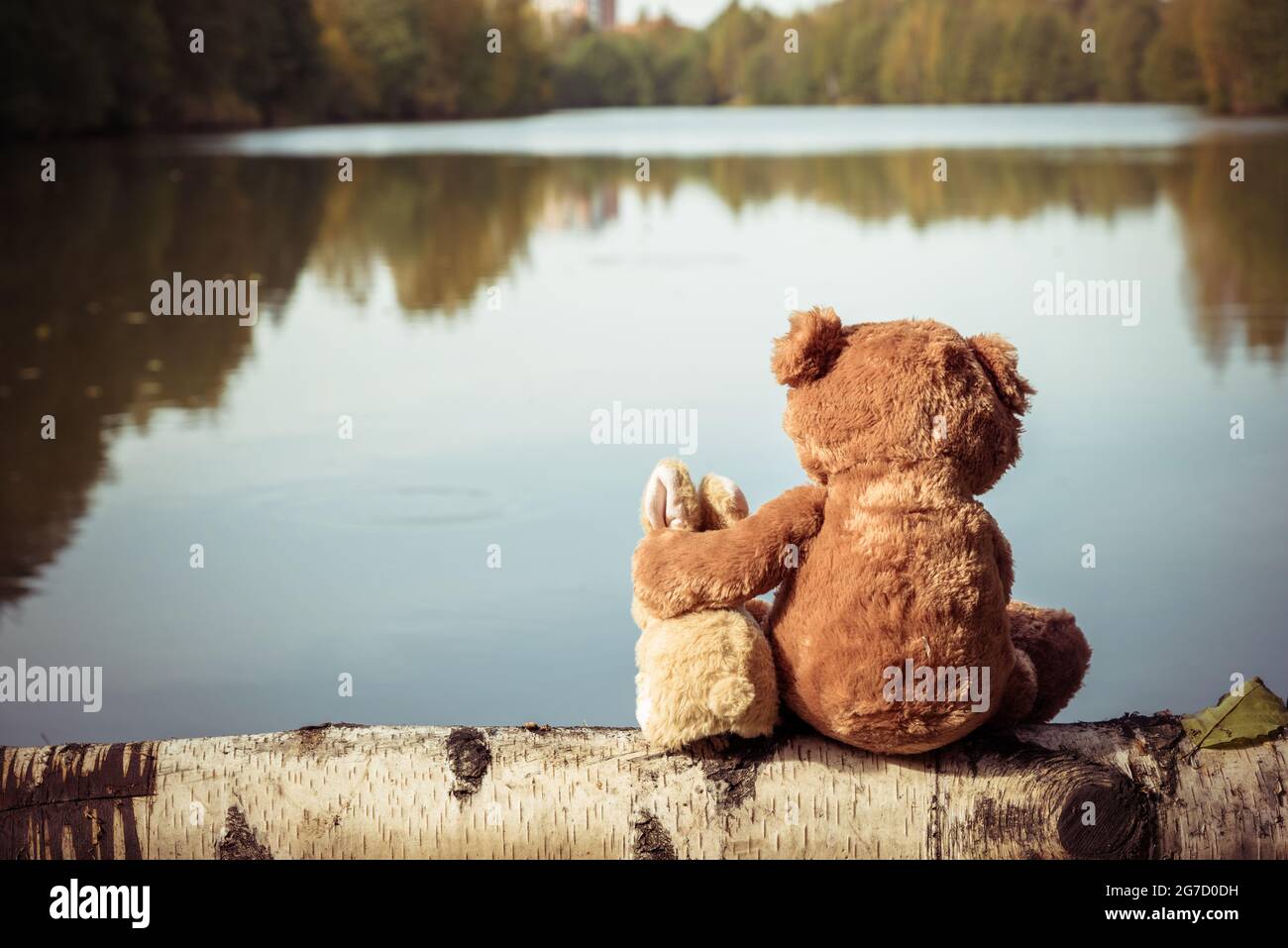 Teddy bear hugs toy bunny on fallen birch tree near river Stock Photo ...