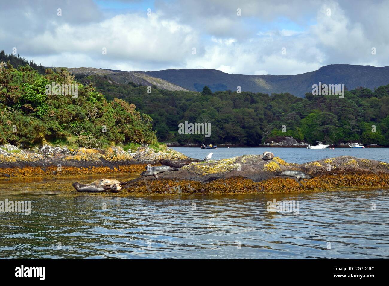 Bantry bay cork ireland hi-res stock photography and images - Alamy