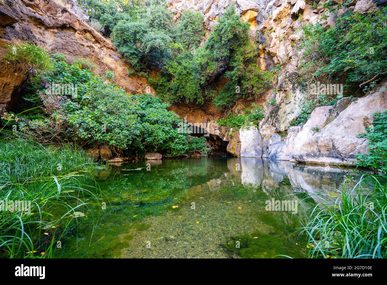 Israel, Golan Heights, Saar stream and waterfall nature reserve Stock ...
