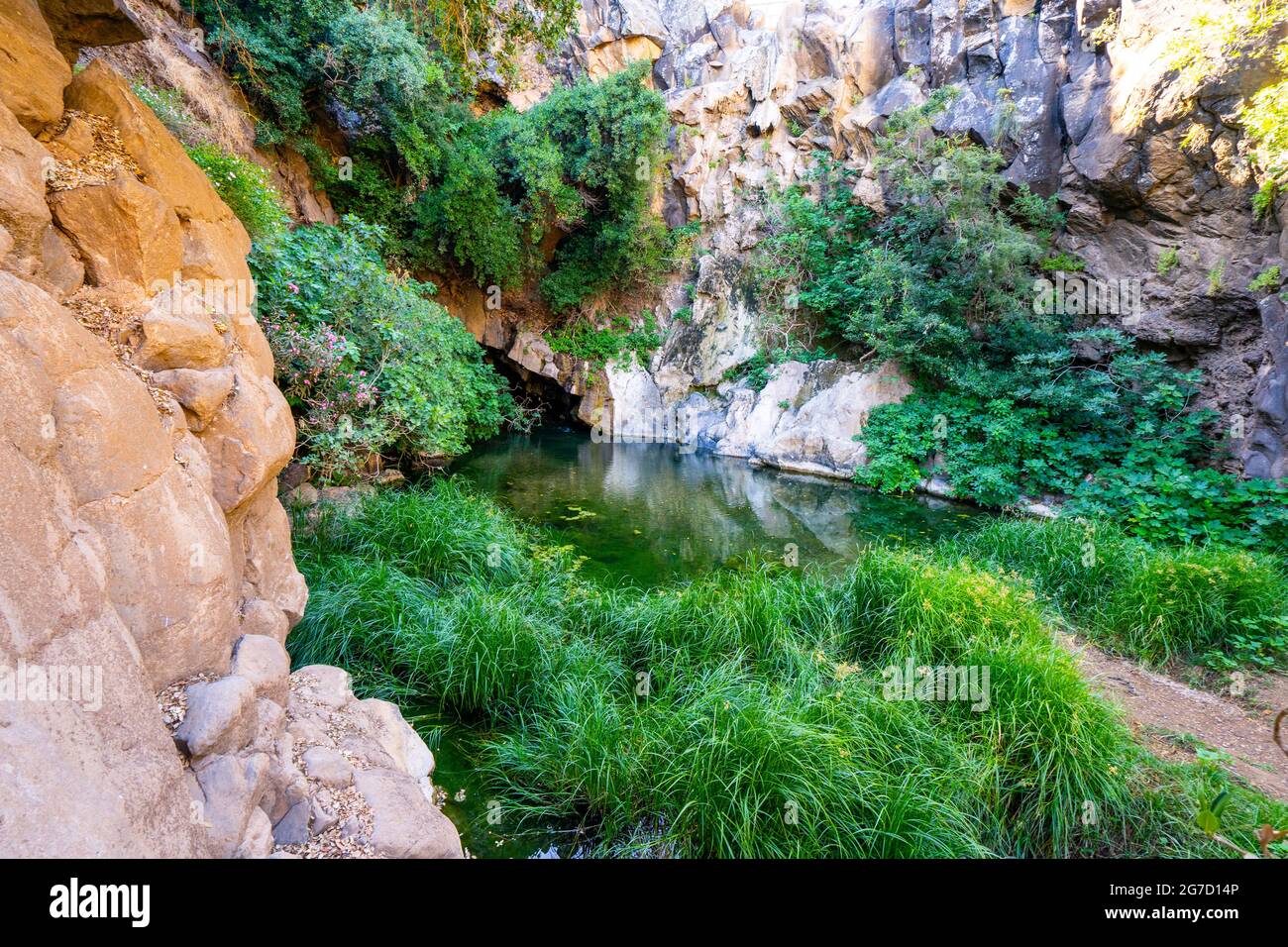 Israel, Golan Heights, Saar stream and waterfall nature reserve Stock ...
