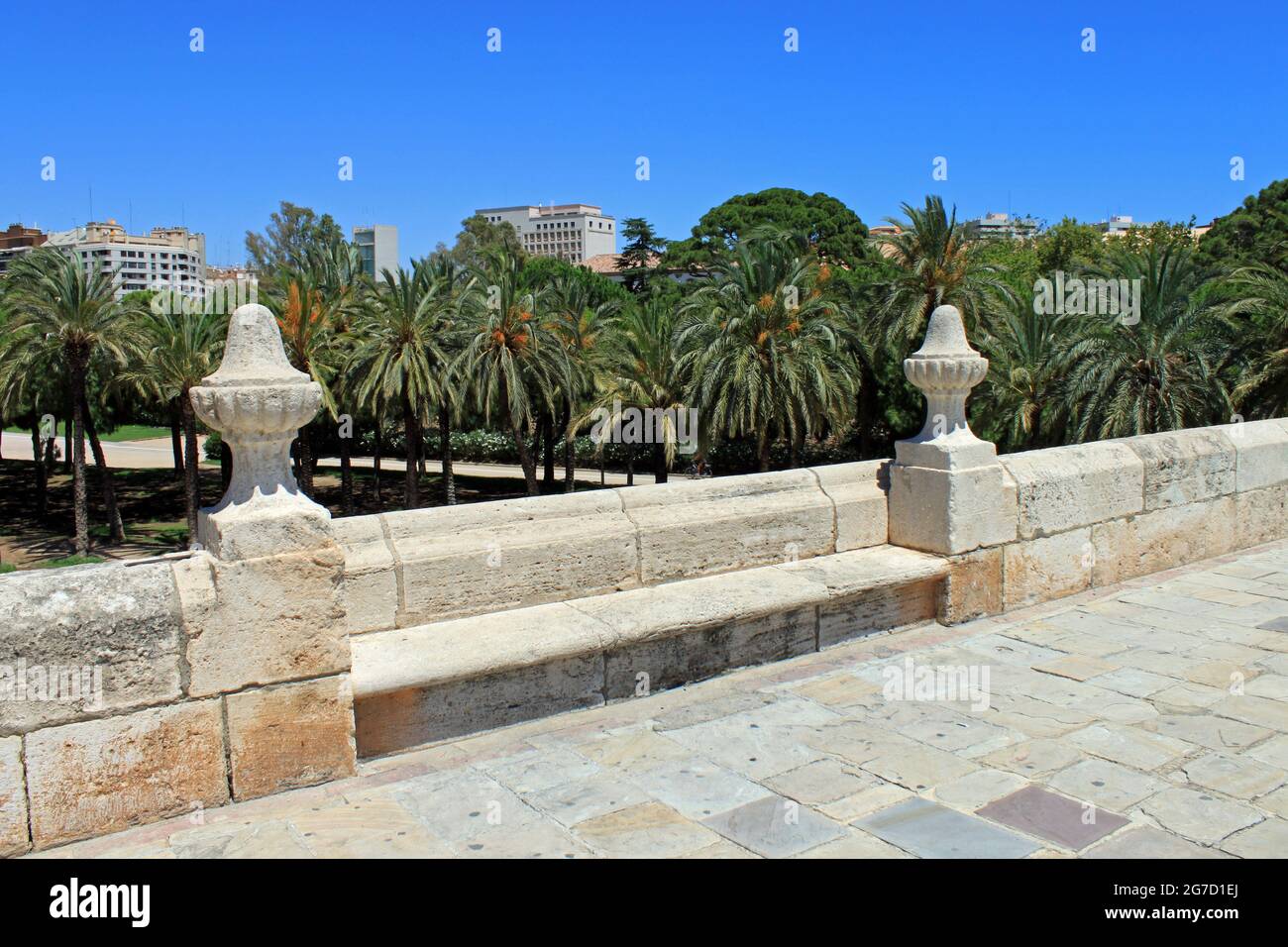 Valencia palm trees hi-res stock photography and images - Alamy