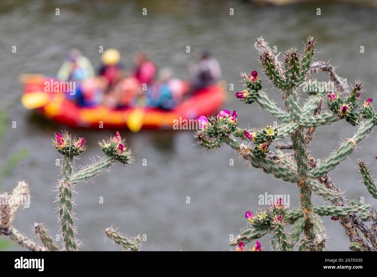 Rinconada, New Mexico - Rafters with New Mexico River Adventures on the ...