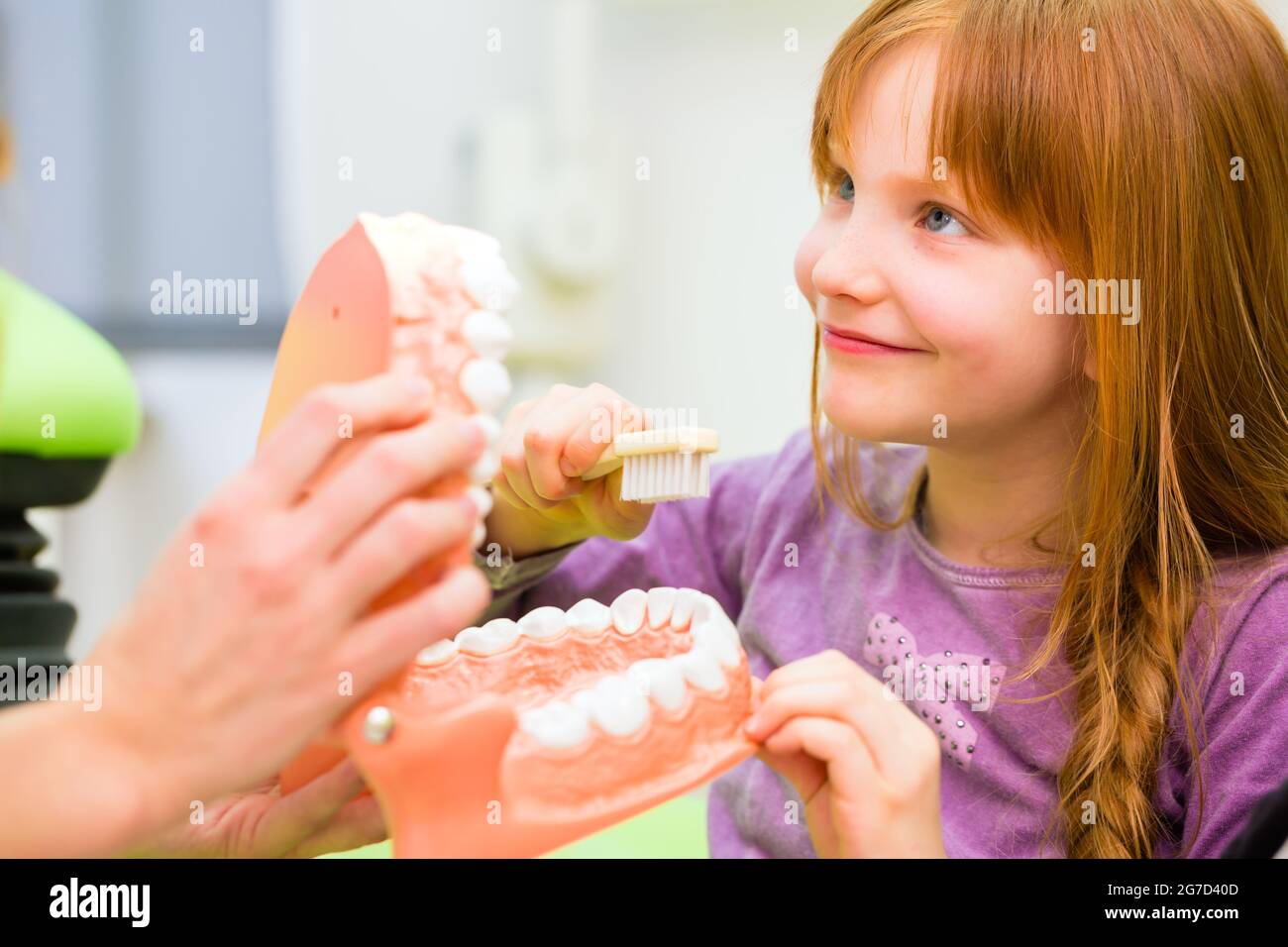 Female dentist explaining girl cleaning tooth with toothbrush on model ...