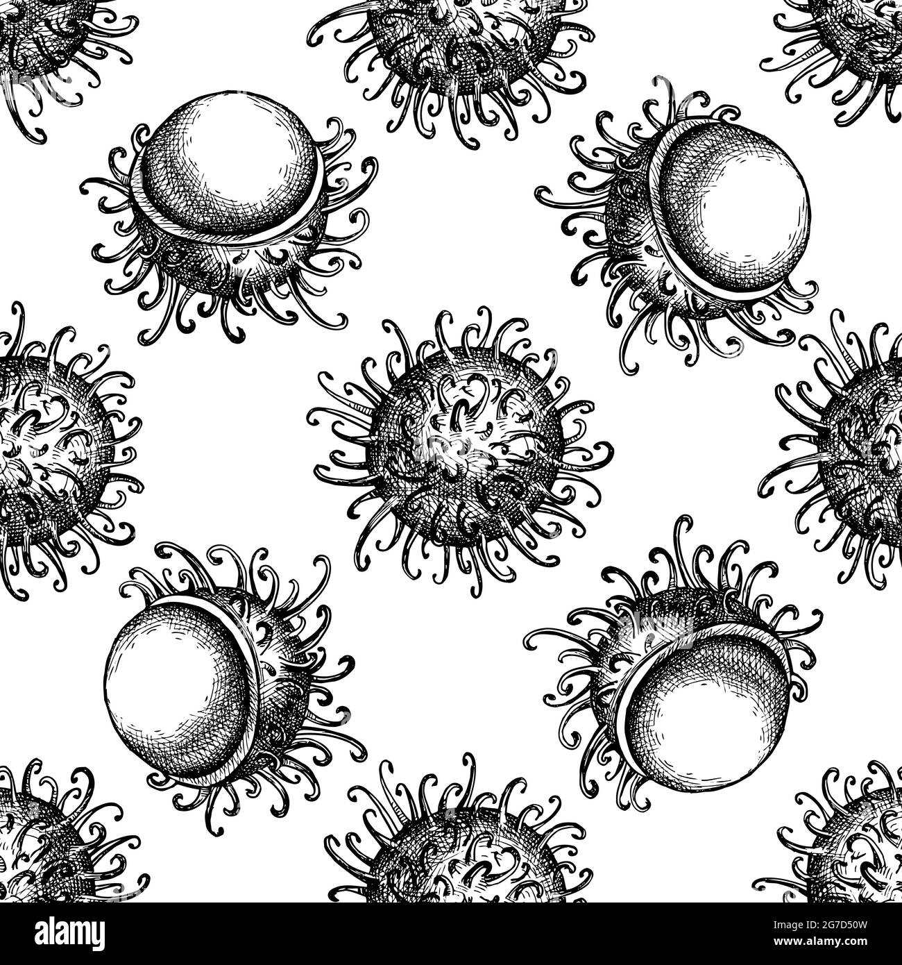 Pattern rambutan food background Stock Vector Images - Alamy