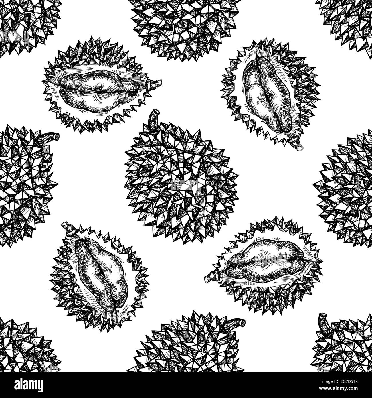 Durian malaysia Black and White Stock Photos & Images - Alamy