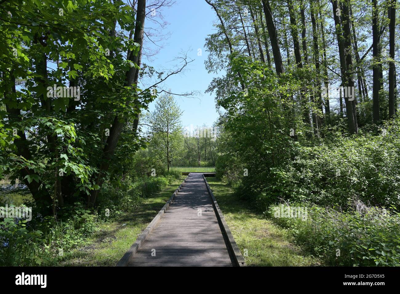 Environmental footpath hi-res stock photography and images - Alamy