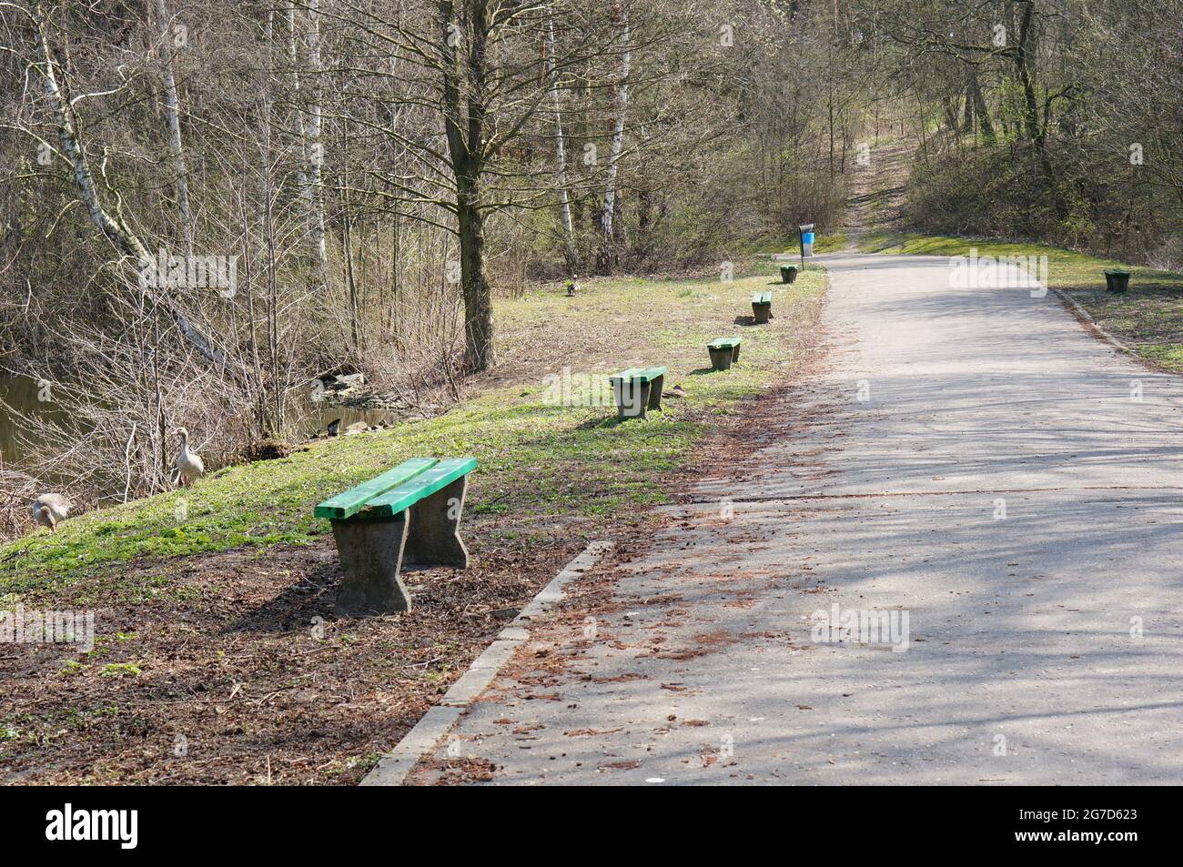 Row of wooden benches by a park footpath Stock Photo - Alamy