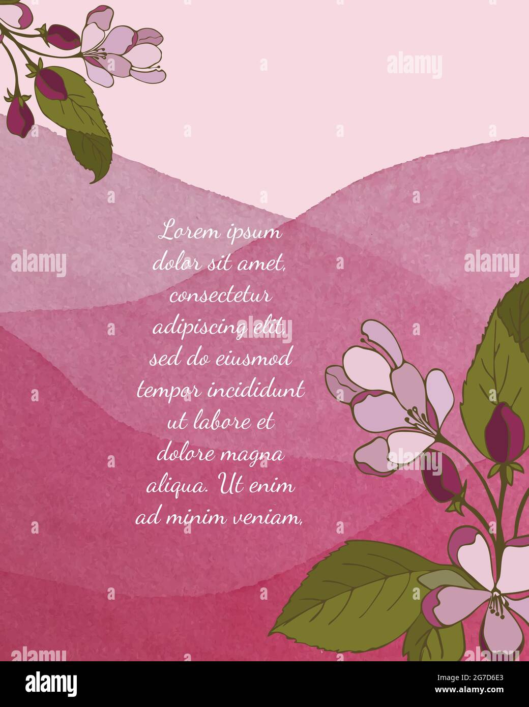 White sakura flowers in Stock Vector Images - Alamy